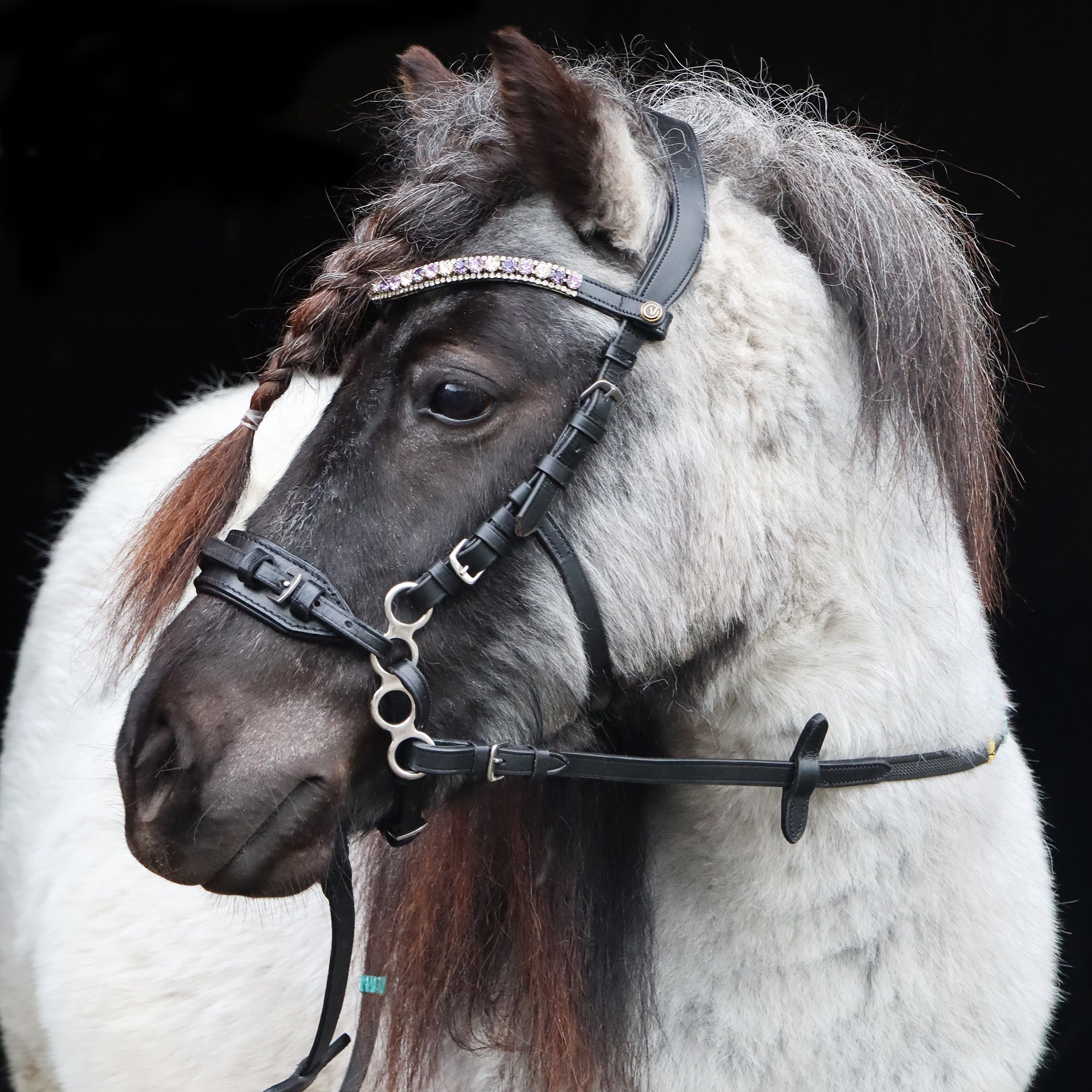 Hackamore svart – A PonyDesign